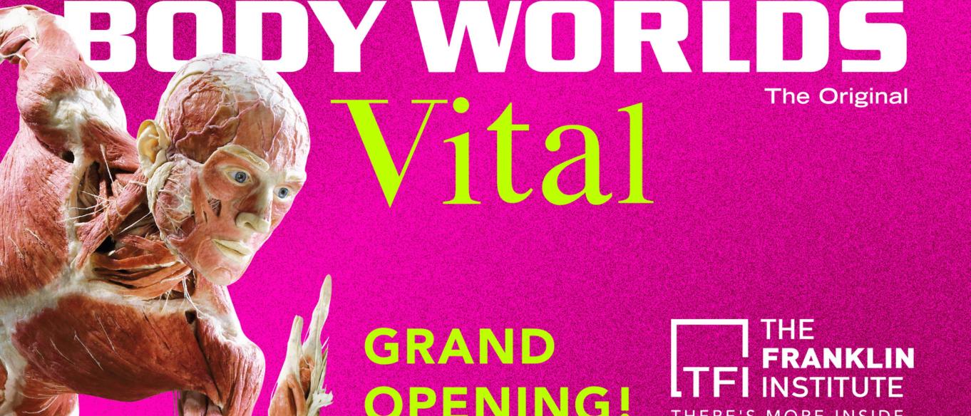 BODY WORLDS: Vital Opening Celebration - Invite Only Event | The ...